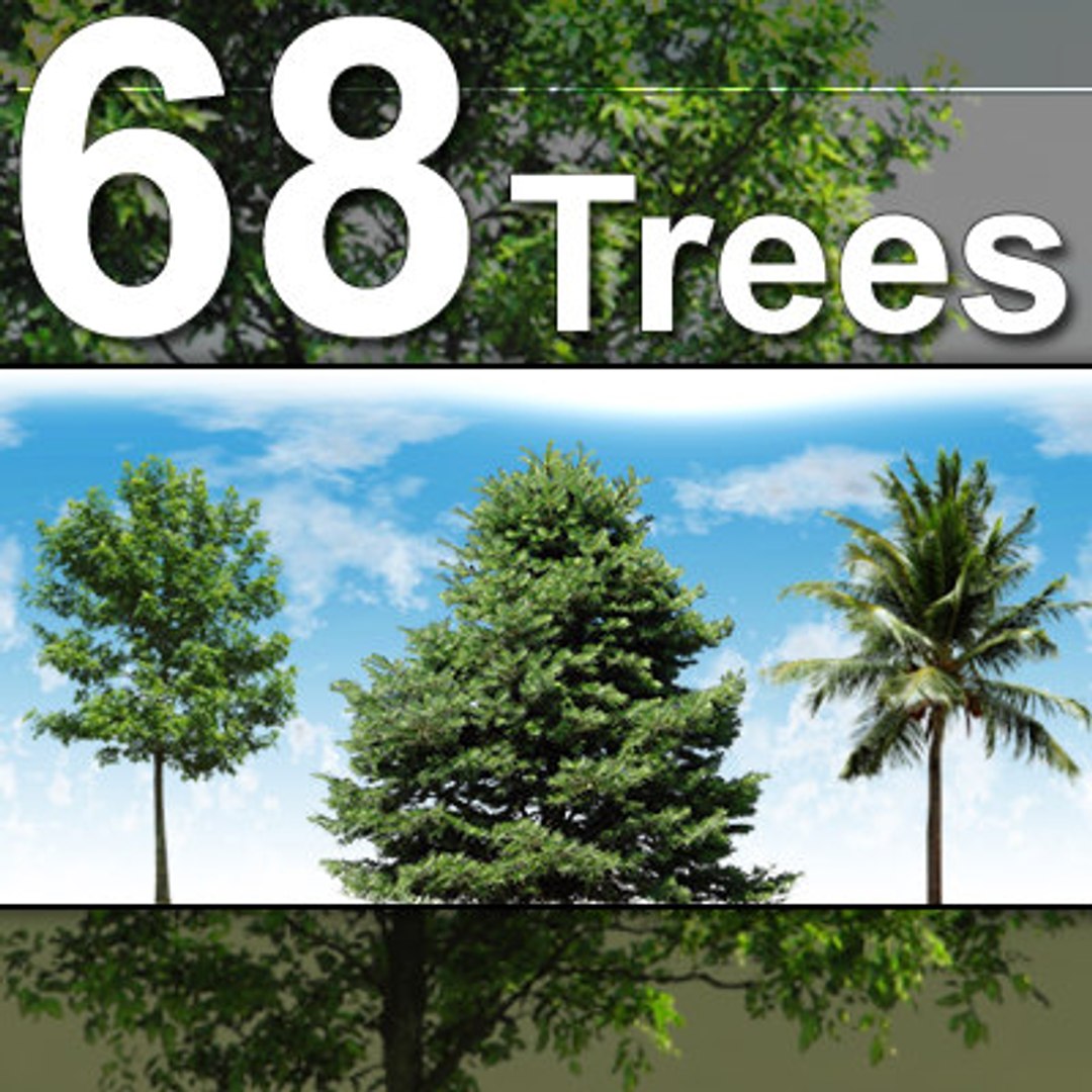 68_Tree_Textures-HiRes - TurboSquid 218503